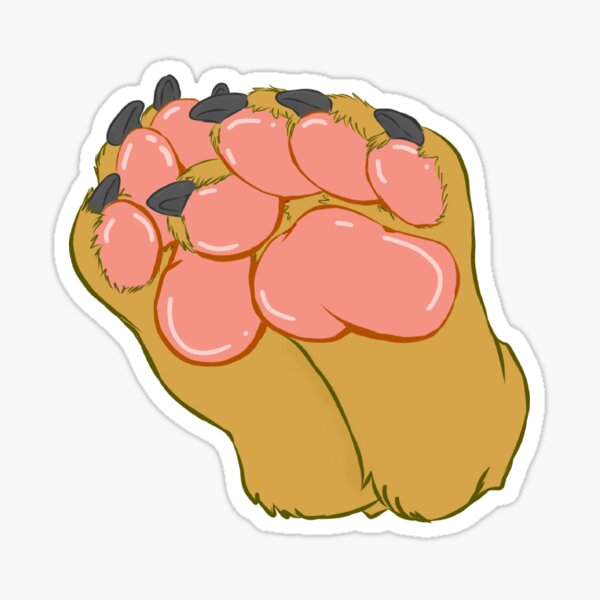 " Toe Beans - Orange " Sticker by Blaudoge | Redbubble
