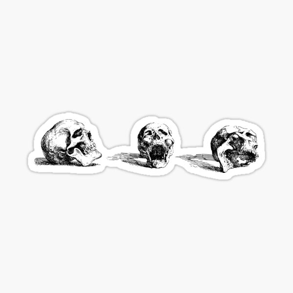 "Three Skulls | Pencil Drawing" Sticker by llevine2934 | Redbubble