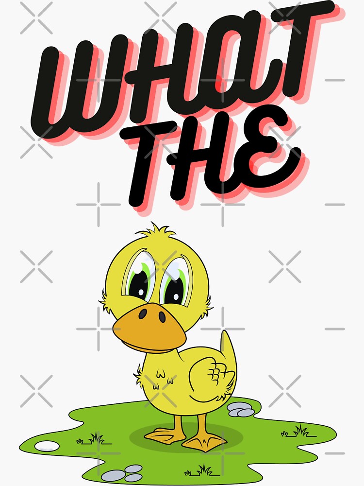 "What the duck | WTF | What the | Hold on I see a duck | Cute Ducks ...