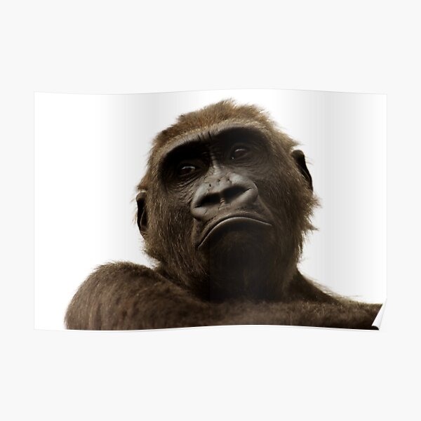 "Big funny monke" Poster for Sale by Rumiart7 | Redbubble