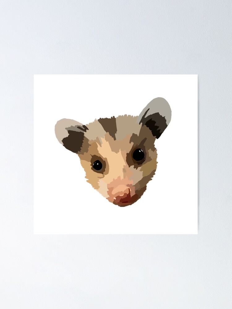 "Opossum" Poster for Sale by hayleykreations | Redbubble