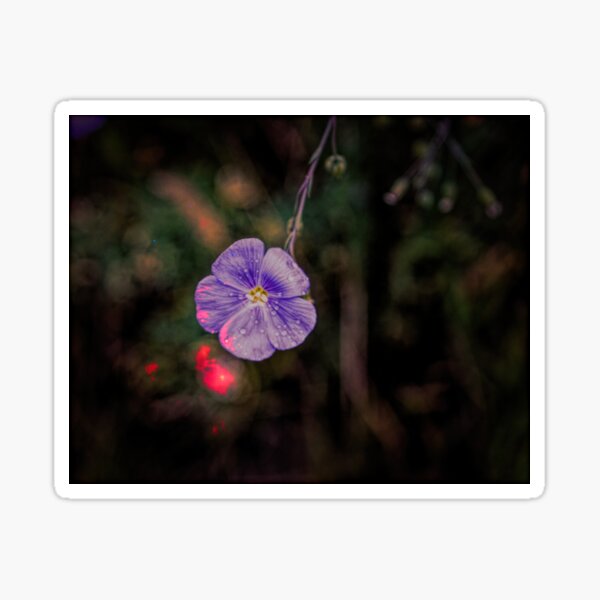 "Blue flax flower illustration" Sticker for Sale by CanadianWild418 ...
