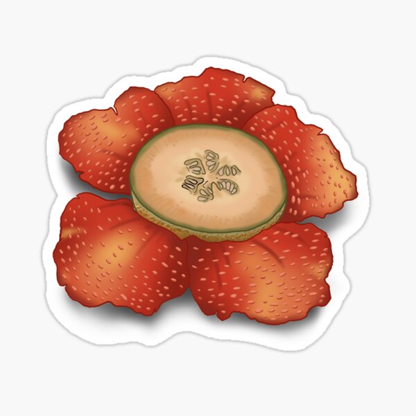 Muskmelon Gifts & Merchandise | Redbubble