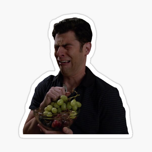 "schmidt crying" Sticker for Sale by maves | Redbubble