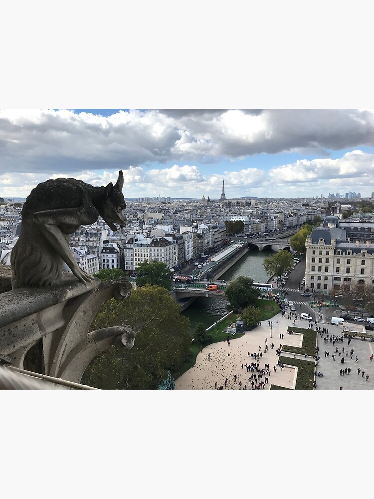Gargoyle Overlooking Eiffel Tower, Paris Bridges, and the Seine View From ND Premium Matte ...