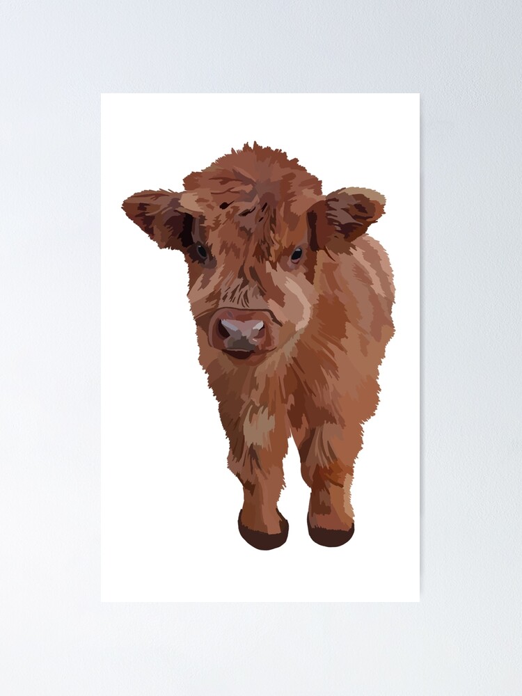 "Fuzzy Cow" Poster for Sale by hayleykreations | Redbubble