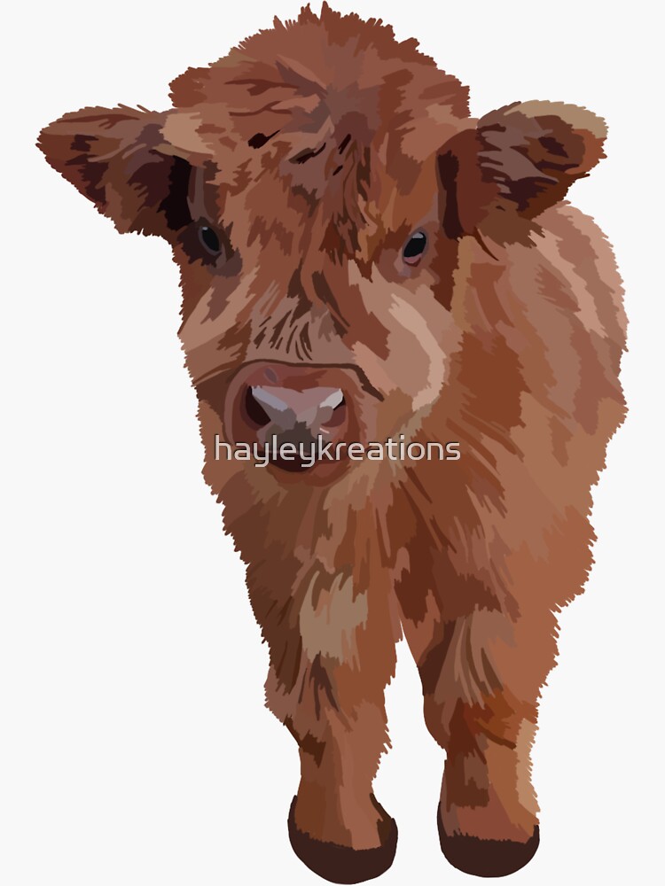 "Fuzzy Cow" Sticker for Sale by hayleykreations | Redbubble