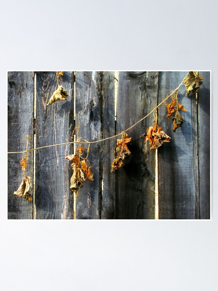 "" Strung Out "" Poster by waddleudo | Redbubble