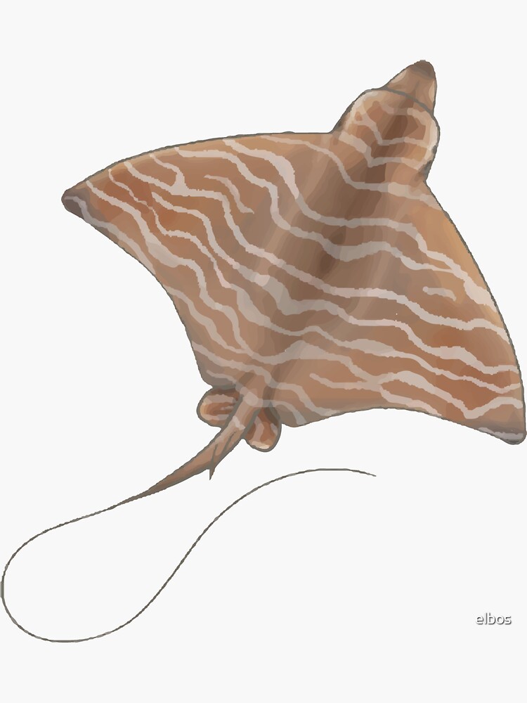 "Bull Ray" Sticker by topazly | Redbubble