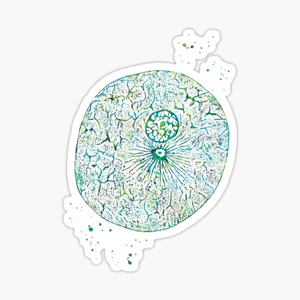 "Multicellular Eukaryotic Animal Cell" Sticker for Sale by EvasDreams ...