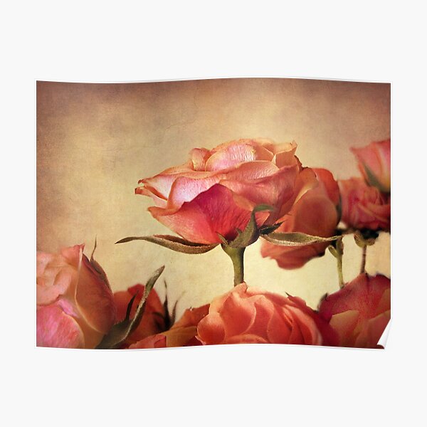 "Russet Rose Petals" Poster by jjenney | Redbubble