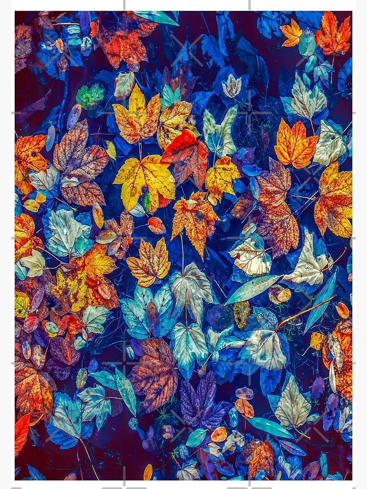 "Burnt Orange Autumn Pattern - Autumn Orange Floral Fall Pattern - i ...