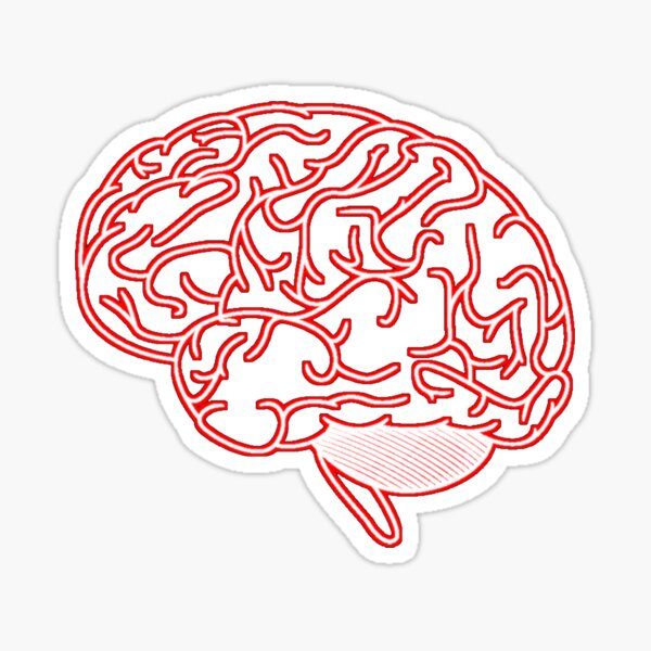 "brain cartoon" Sticker by olisdesigns | Redbubble