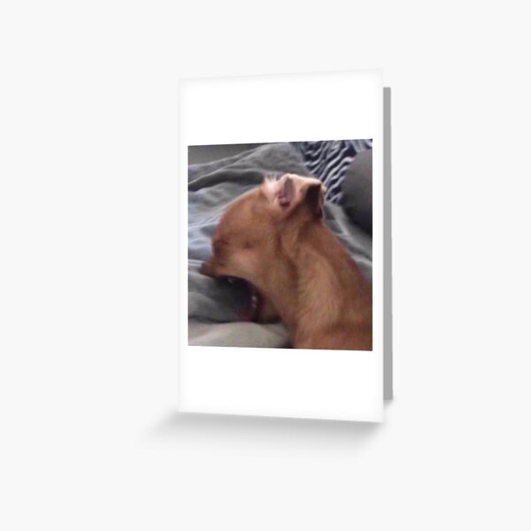 "dog screaming crying meme" Greeting Card for Sale by georgiavsx ...