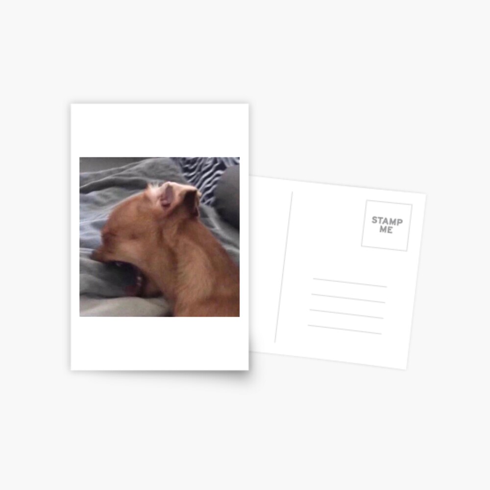 "dog screaming crying meme" Sticker for Sale by georgiavsx | Redbubble