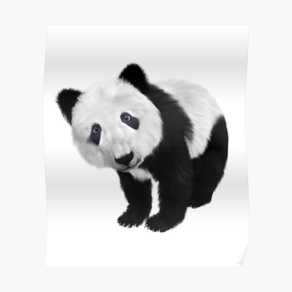 "Giant Panda" Poster by EarthlyJoy | Redbubble