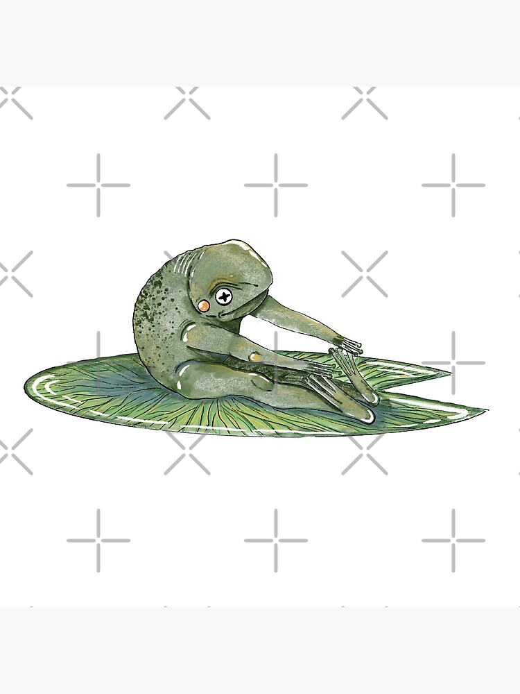 "Frog stretching " Poster for Sale by emassketches | Redbubble