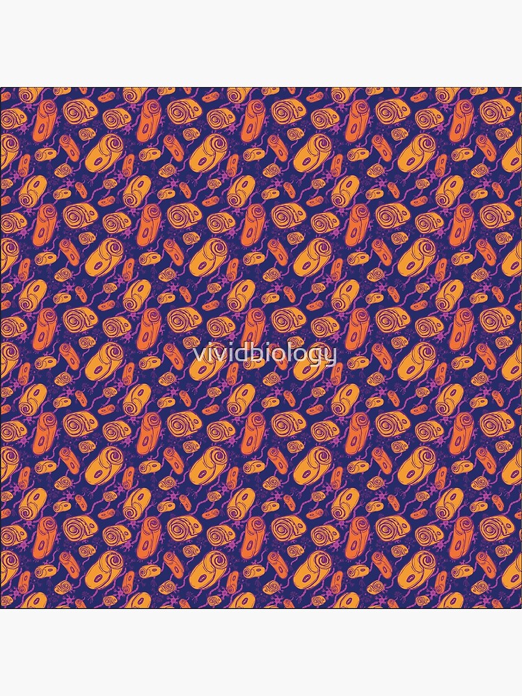 "PNS (peripheral nervous system) Pattern" Poster by vividbiology ...