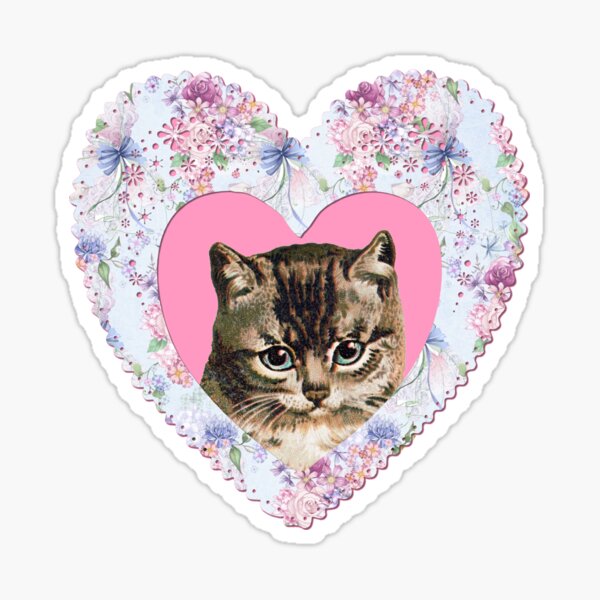 "sad kitten" Sticker by venusbyliv | Redbubble