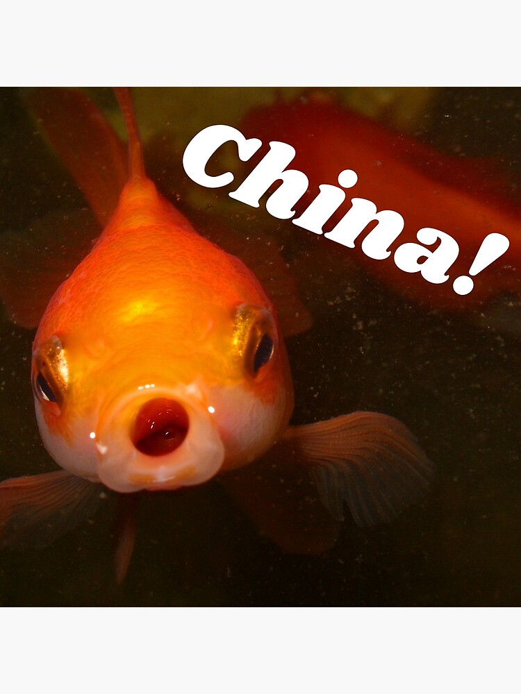 "Funny Fish Memes: China meme" Photographic Print by TatersProducts ...