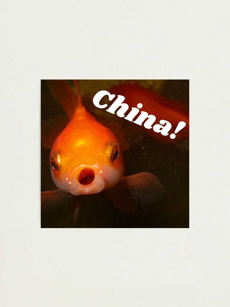 "Funny Fish Memes: China meme" Photographic Print by TatersProducts ...