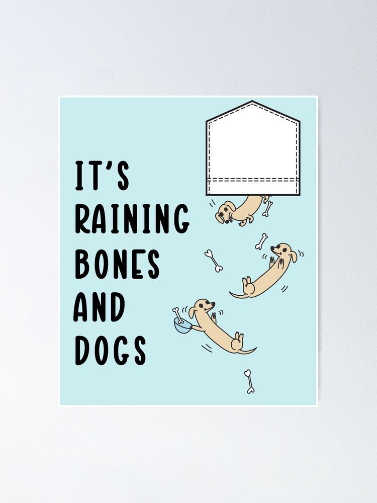 "It's raining bones and dogs, funny " Poster for Sale by ...