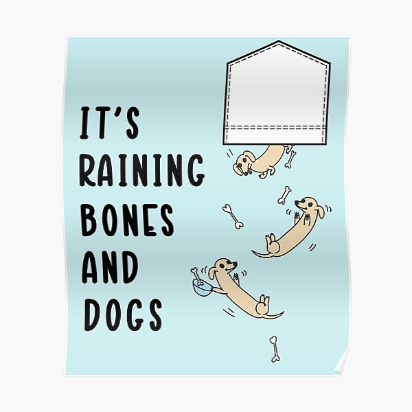 "It's raining bones and dogs, funny " Poster for Sale by ...