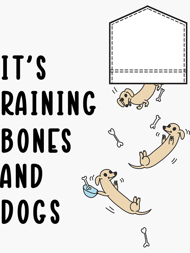 "It's raining bones and dogs, funny " Sticker for Sale by ...