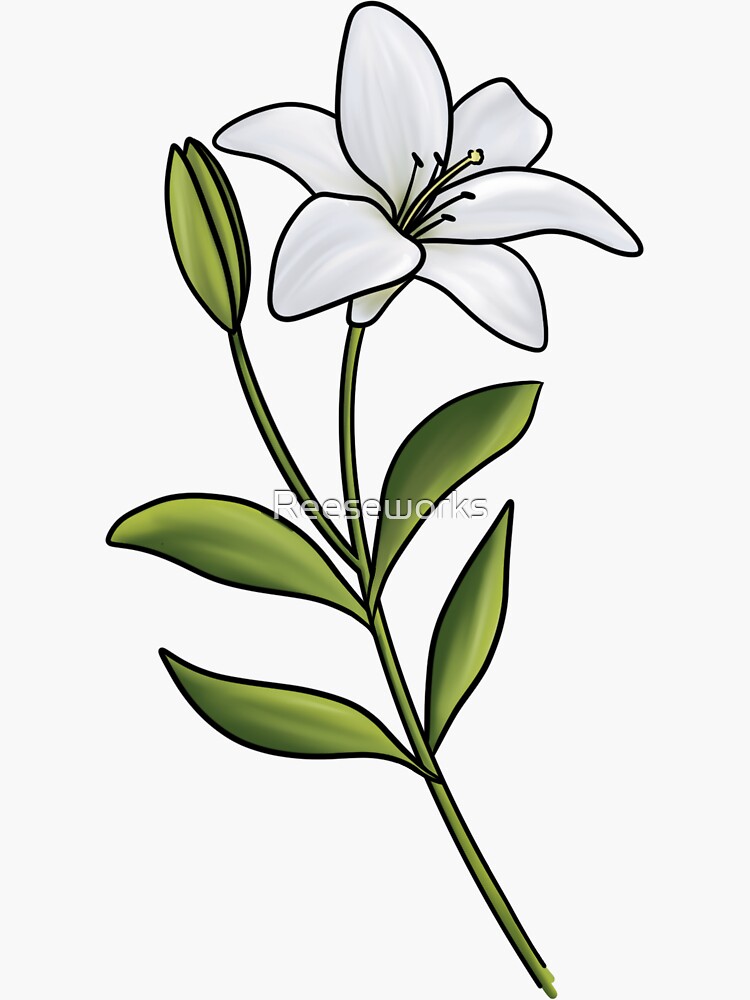 "White Lily" Sticker by Reeseworks | Redbubble