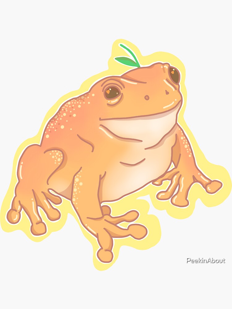 "Orange Frog" Sticker for Sale by PeekinAbout | Redbubble