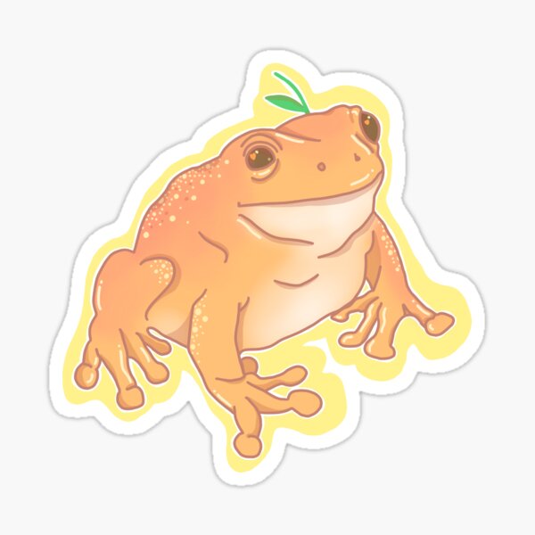 "Orange Frog" Sticker for Sale by PeekinAbout | Redbubble
