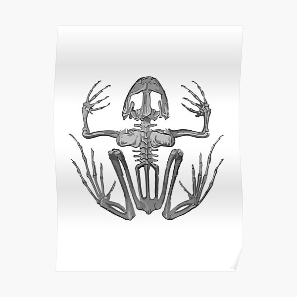 "Frog Skeleton" Poster by llevine2934 | Redbubble