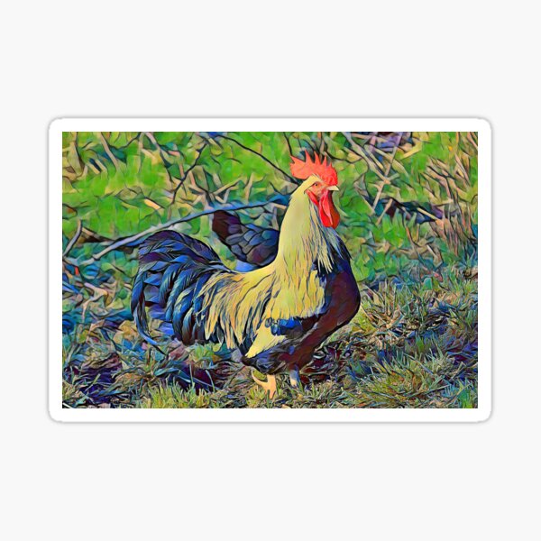 "Psychedelic Rooster" Sticker by Peebles | Redbubble