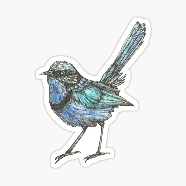 "Splendid Fairy Wren " Sticker for Sale by SerenSketches | Redbubble