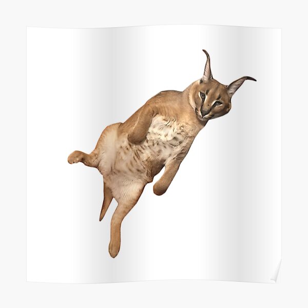 "Big Floppa" Poster by ouyoussfyassine | Redbubble