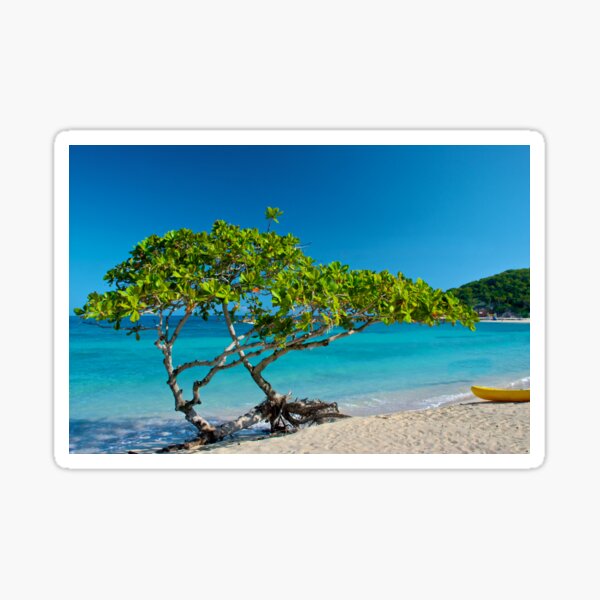 "AHHHH!" Sticker for Sale by barkeypf | Redbubble