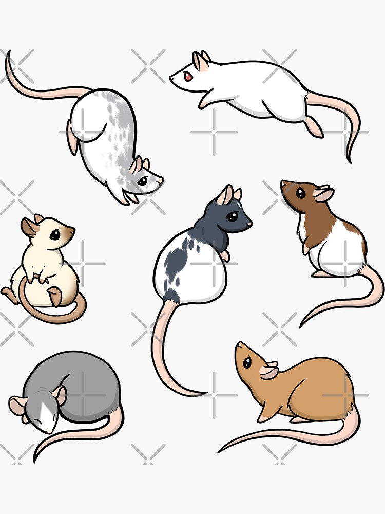 "Rats" Sticker for Sale by bgolins | Redbubble