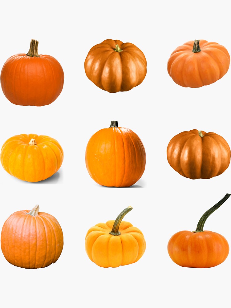 "Real Pumpkin Sticker Pack" Sticker for Sale by Caregiverology | Redbubble