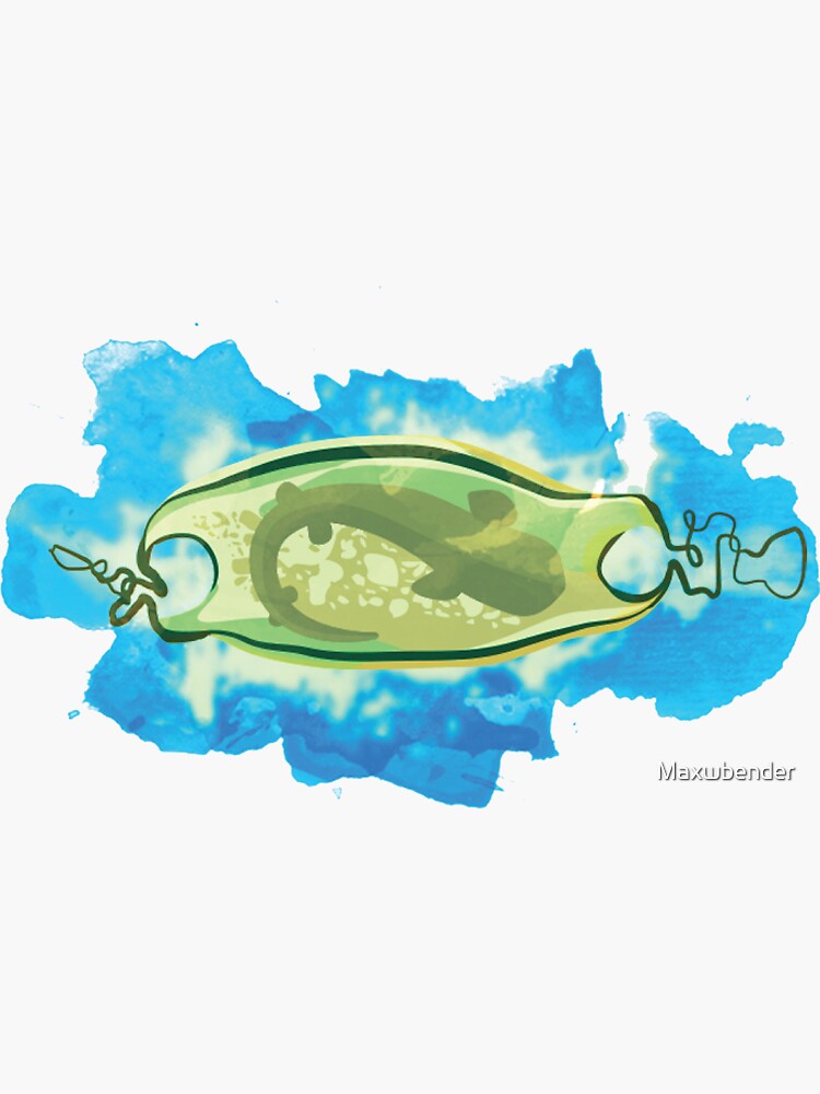 "Shark Egg Case" Sticker for Sale by Maxwbender | Redbubble