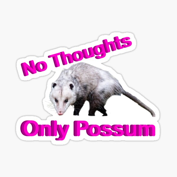 "No Thoughts Only Possum Meme" Sticker for Sale by jdapparel | Redbubble