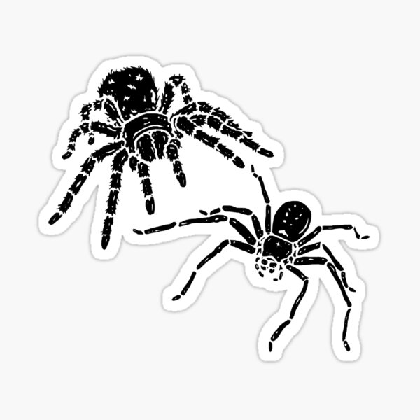 "Spiders" Sticker for Sale by bonesofparadise | Redbubble