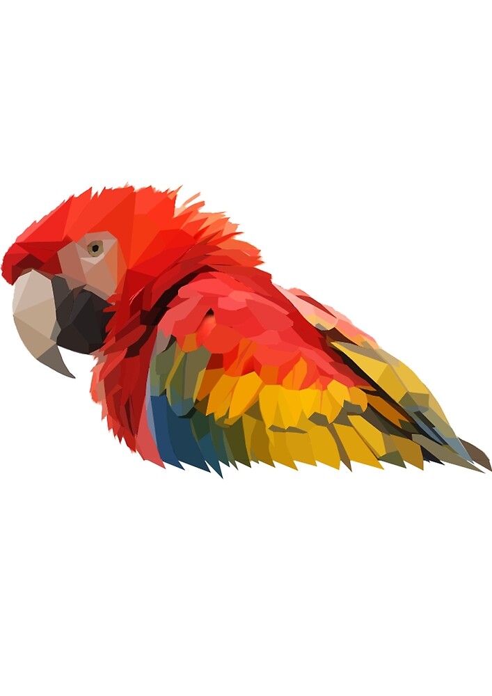 "Geometric Scarlet Macaw Head" by ce15designs | Redbubble