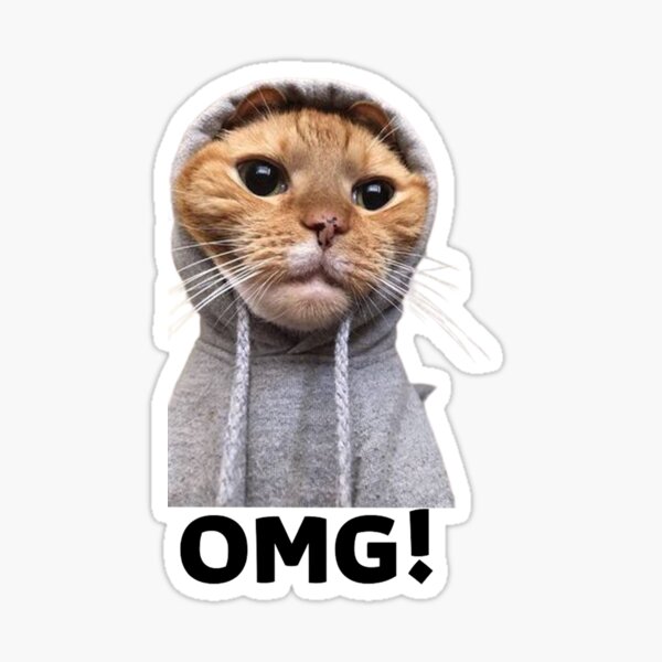 "OMG Cat Meme" Sticker for Sale by mony127 | Redbubble