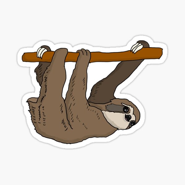 "hanging sloth" Sticker for Sale by TheDillen | Redbubble
