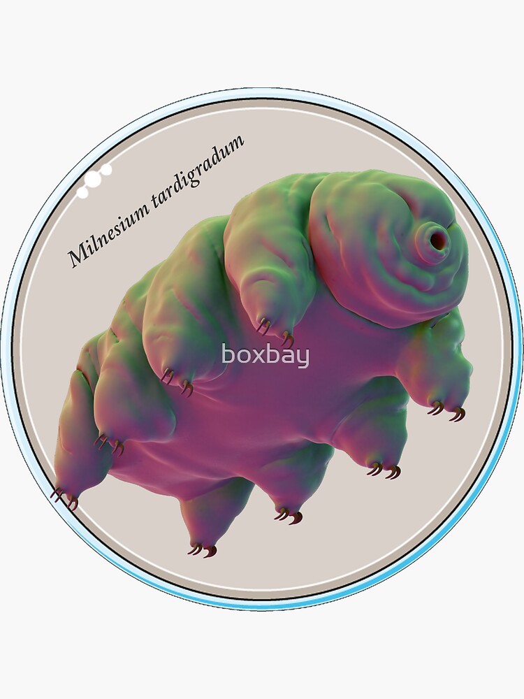 "Tardigrade" Sticker for Sale by boxbay | Redbubble