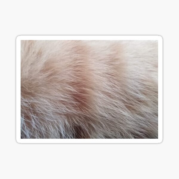 "cat's fur" Sticker for Sale by Hasukito | Redbubble