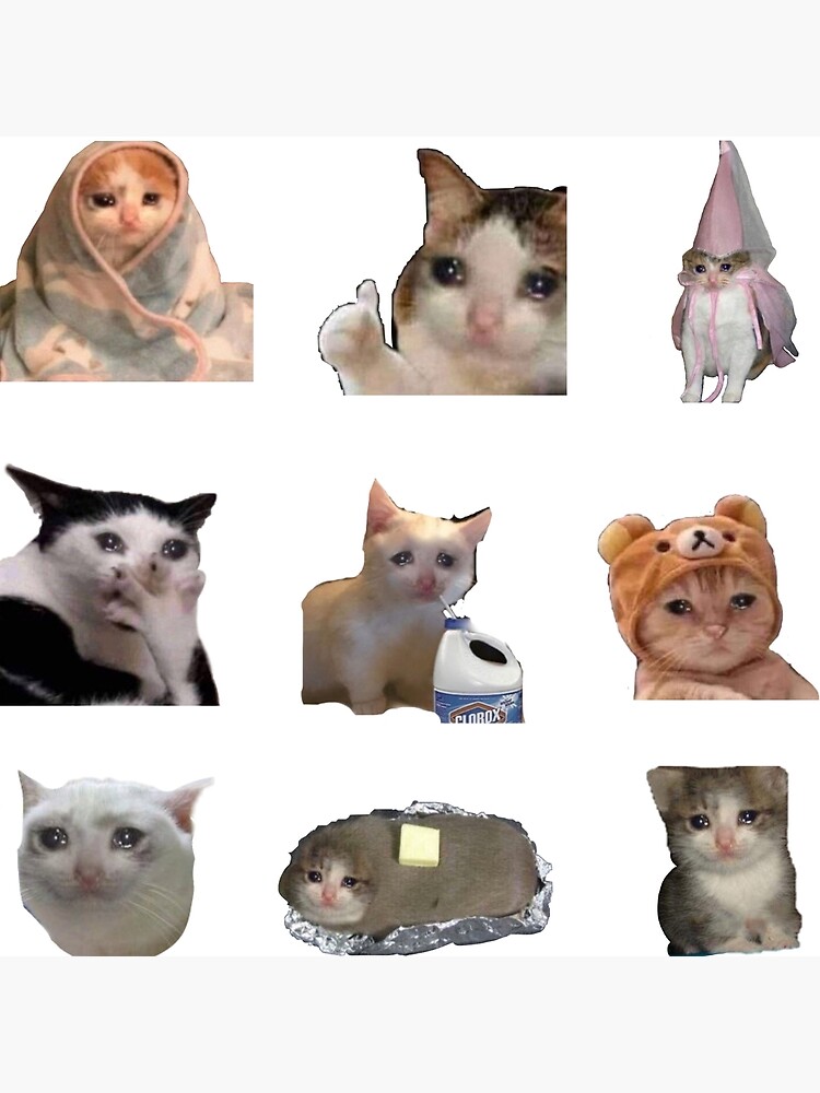 "Cats crying meme sticker pack" Poster for Sale by Patmackriel70 ...