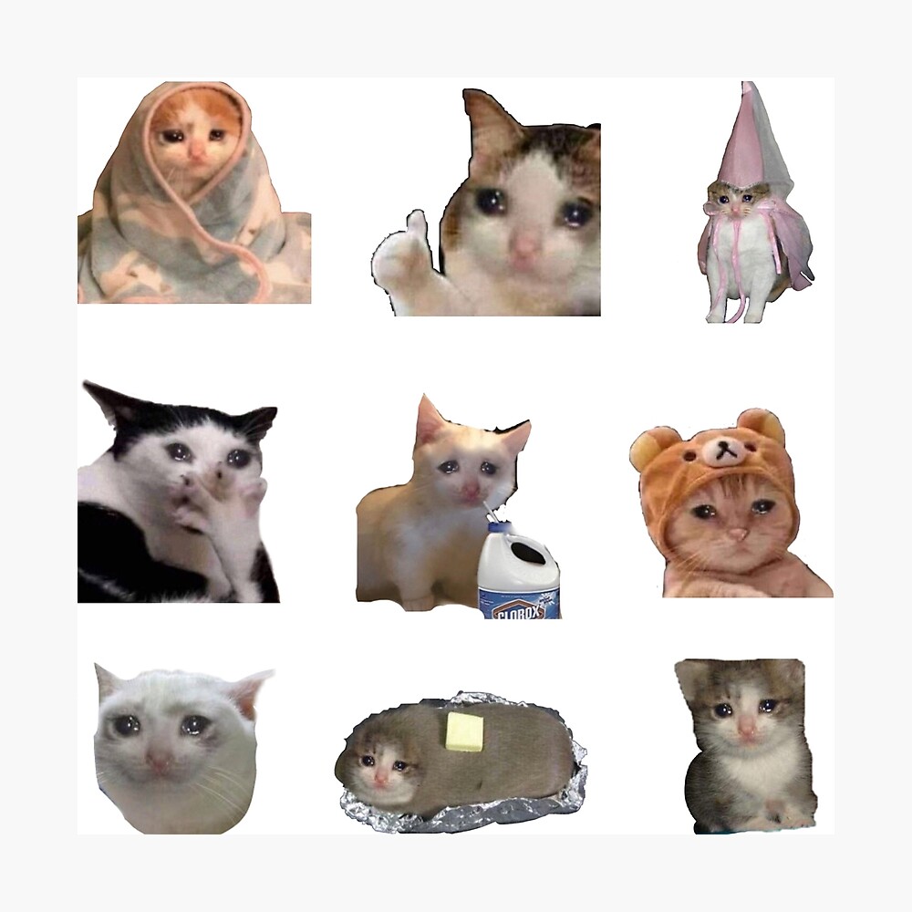 Crying Cat Sticker Whatsapp | canoeracing.org.uk