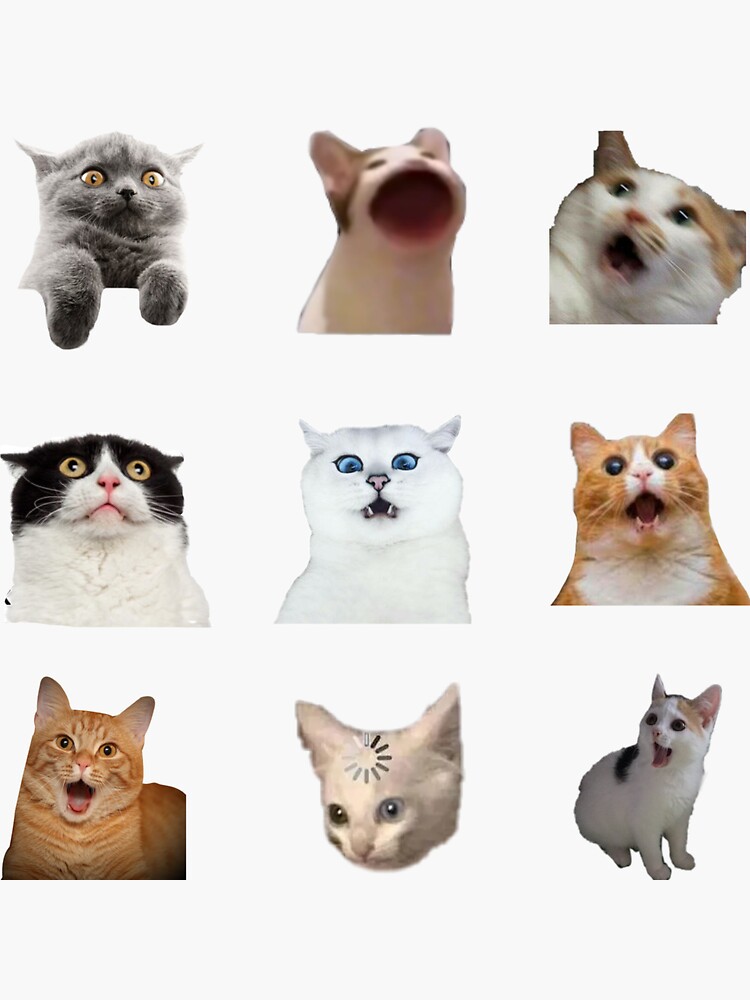 "Scared Cats meme sticker pack" Sticker for Sale by Patmackriel70 ...