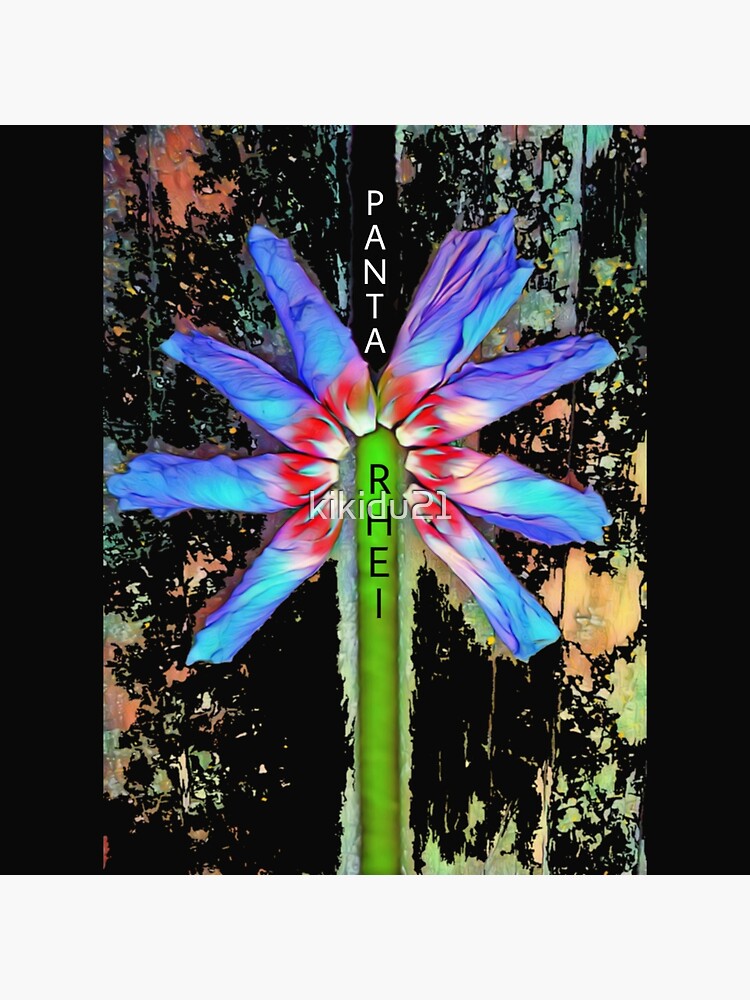 Póster «Panta Rhei * Todo cambia collage de fotos meditativo con diseño ...